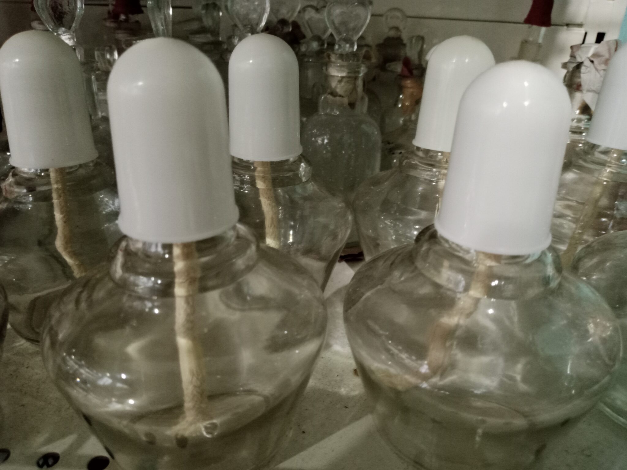 Spirit Lamp Chemistry Practical Burner - SCIENCESIO LANKA